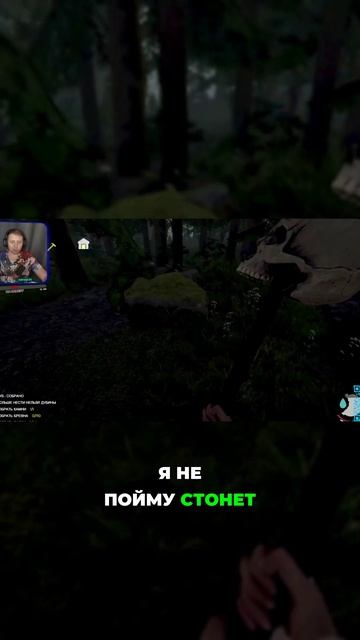клипы