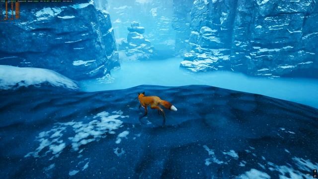 Spirit of the North.