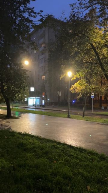 Погода