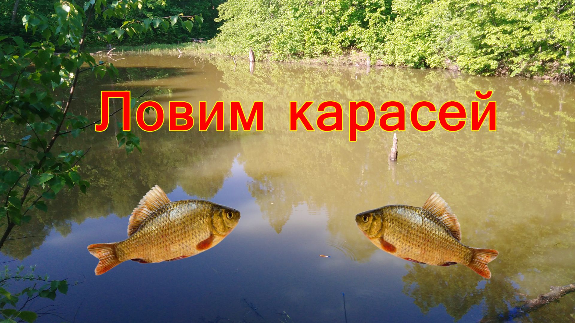 РЫБАЛКА