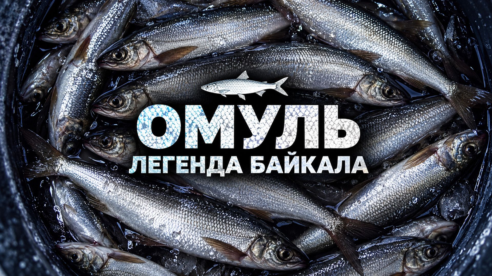 Интересные факты. Удивительный Север и планета Земля: факты, люди, традиции | Ямал-Медиа