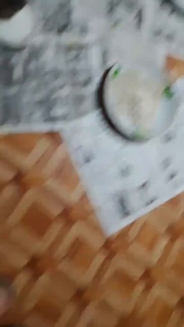 коты и кошки