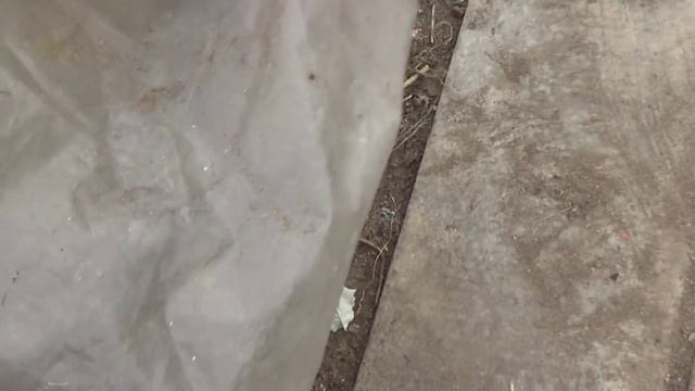 ПРИКОП, что это такое?