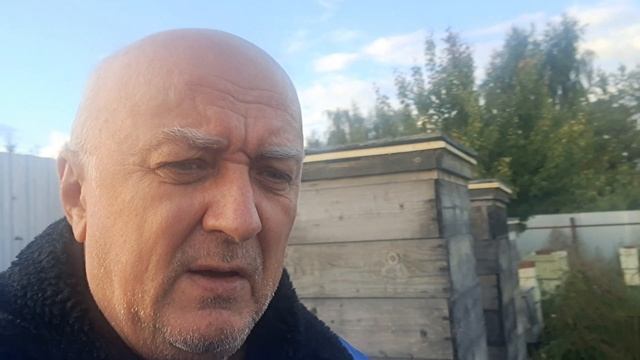 Лето на пасеке