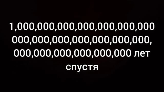 Глупые котята