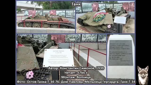 Читает «Лис»