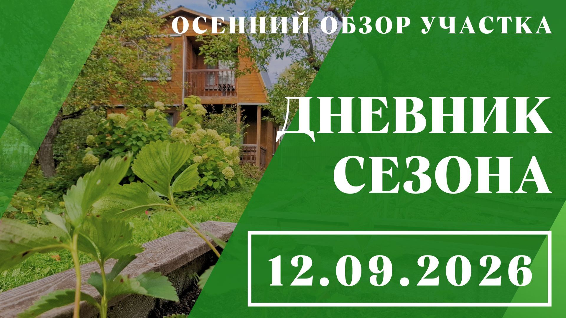 Дневники сезонов // 2023 – 2026