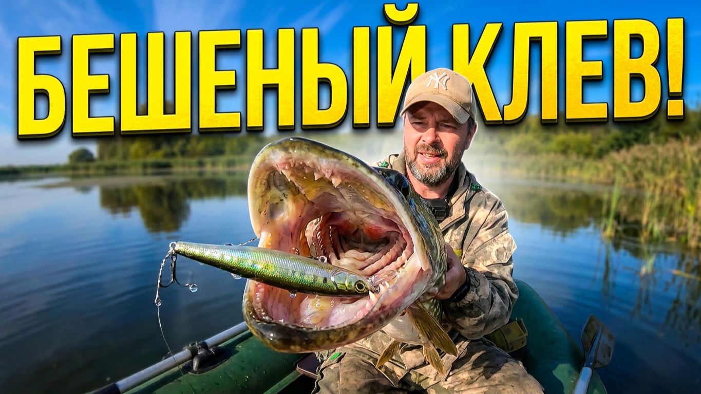 Ловля хищной рыбы