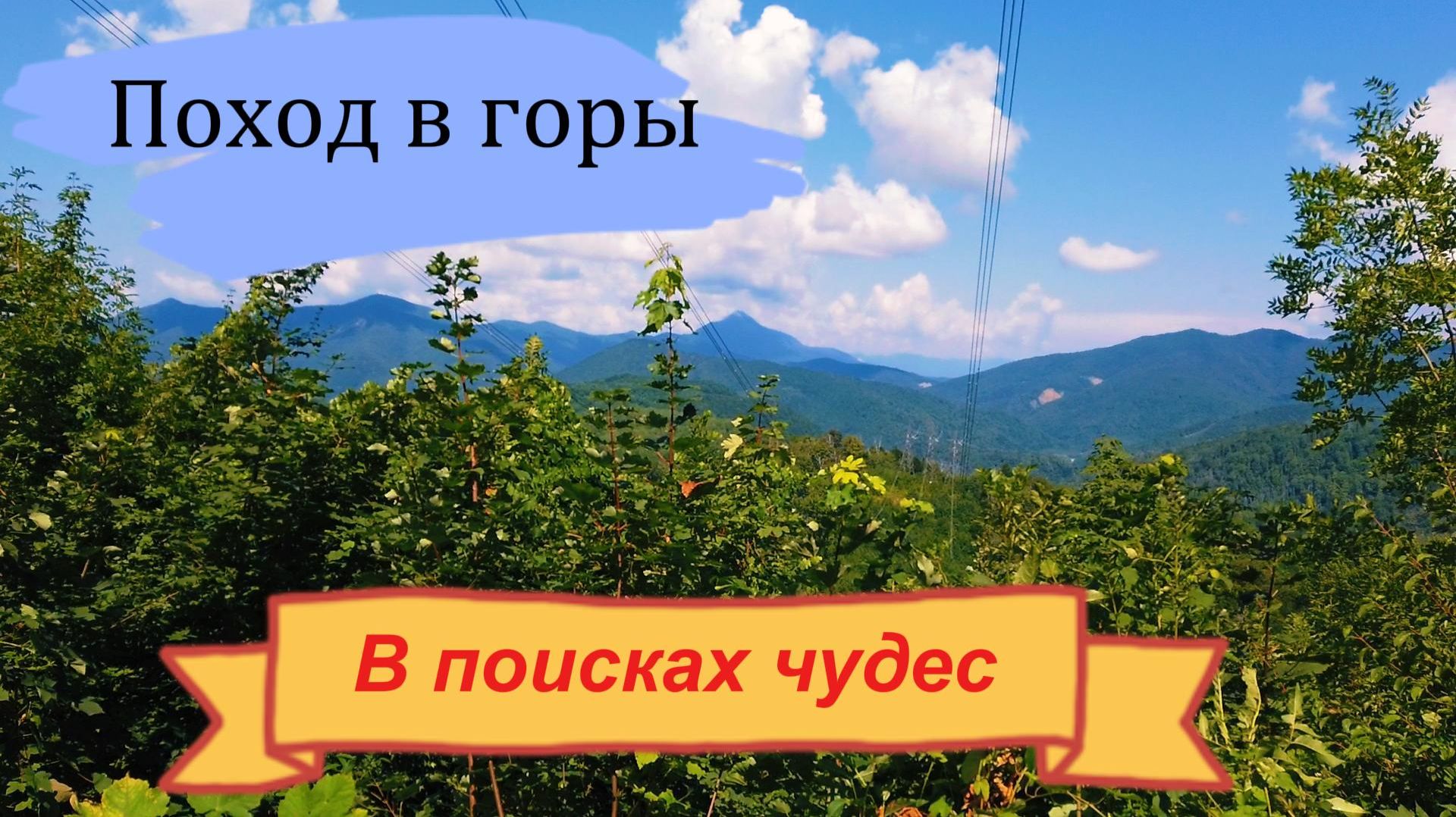 Дикая природа Сочи.