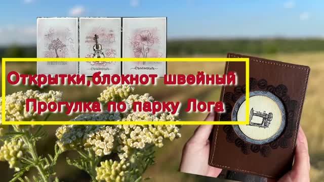 влоги скрапбукинг