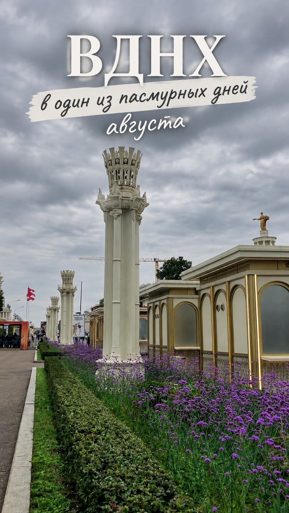 Поездки
