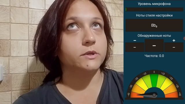 Мой путь по изучению флейты Вистл