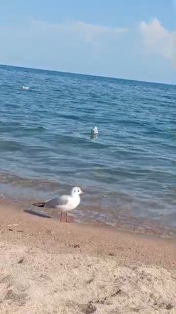Природа