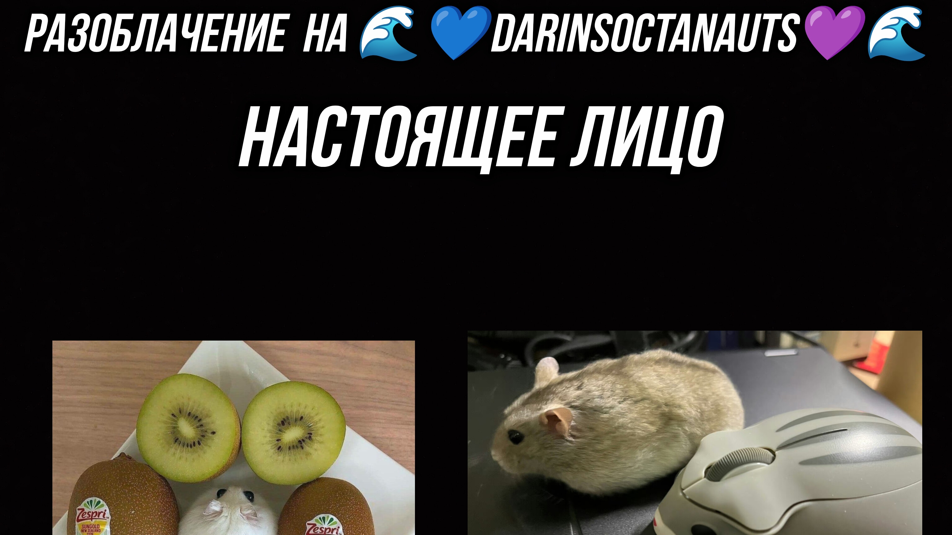 Разоблачение