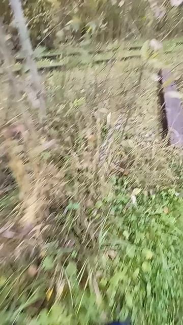 Рассуждалки...