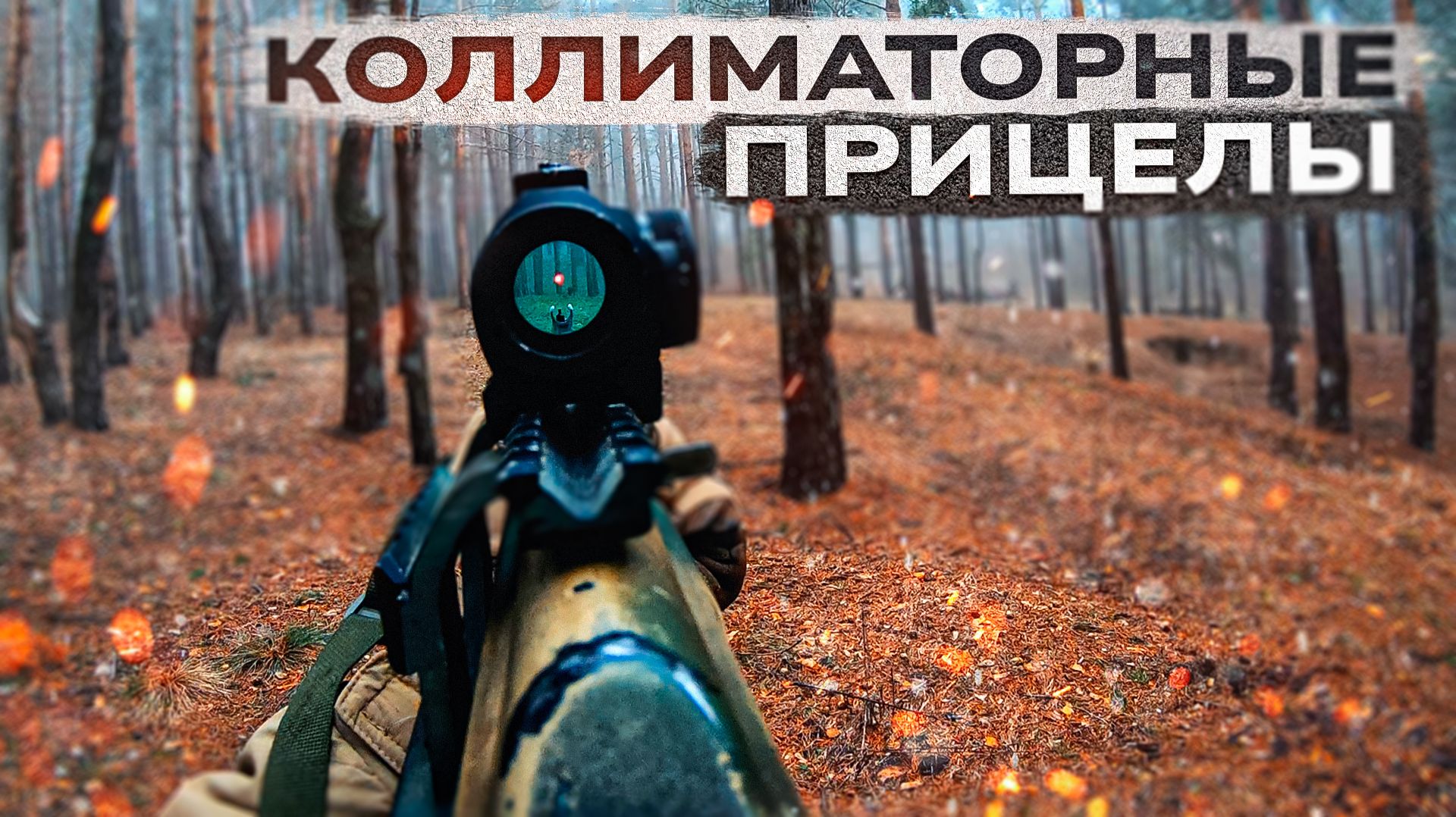 Стрелковая подготовка