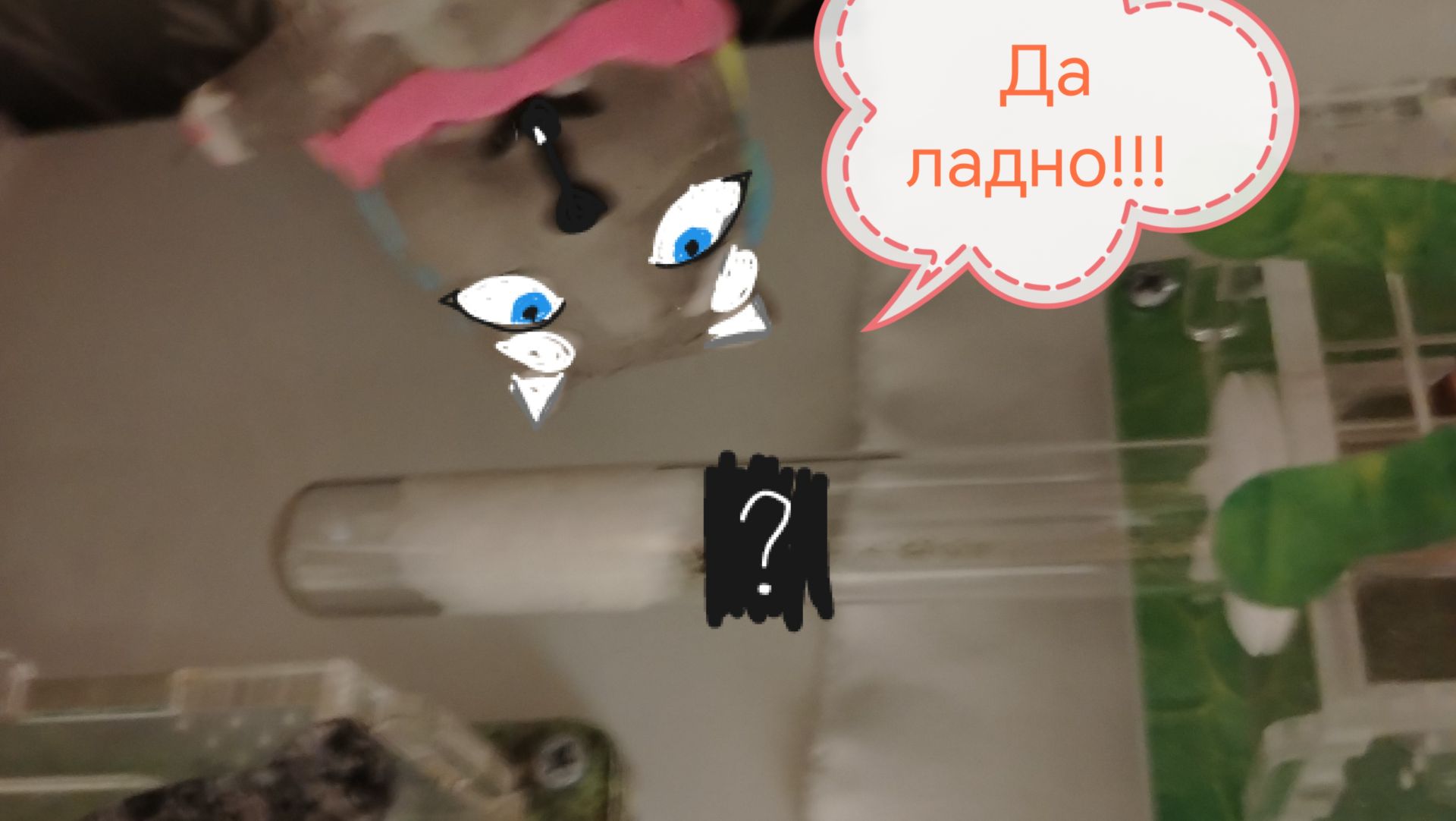 Муравьи