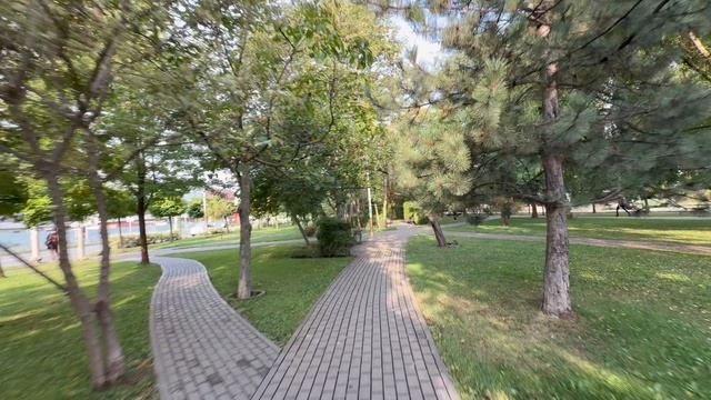 Парки культуры и отдыха