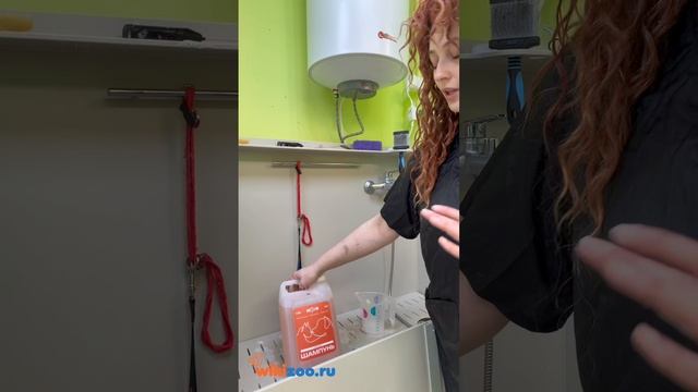 ДИАЛОГИ О ГРУМИНГЕ