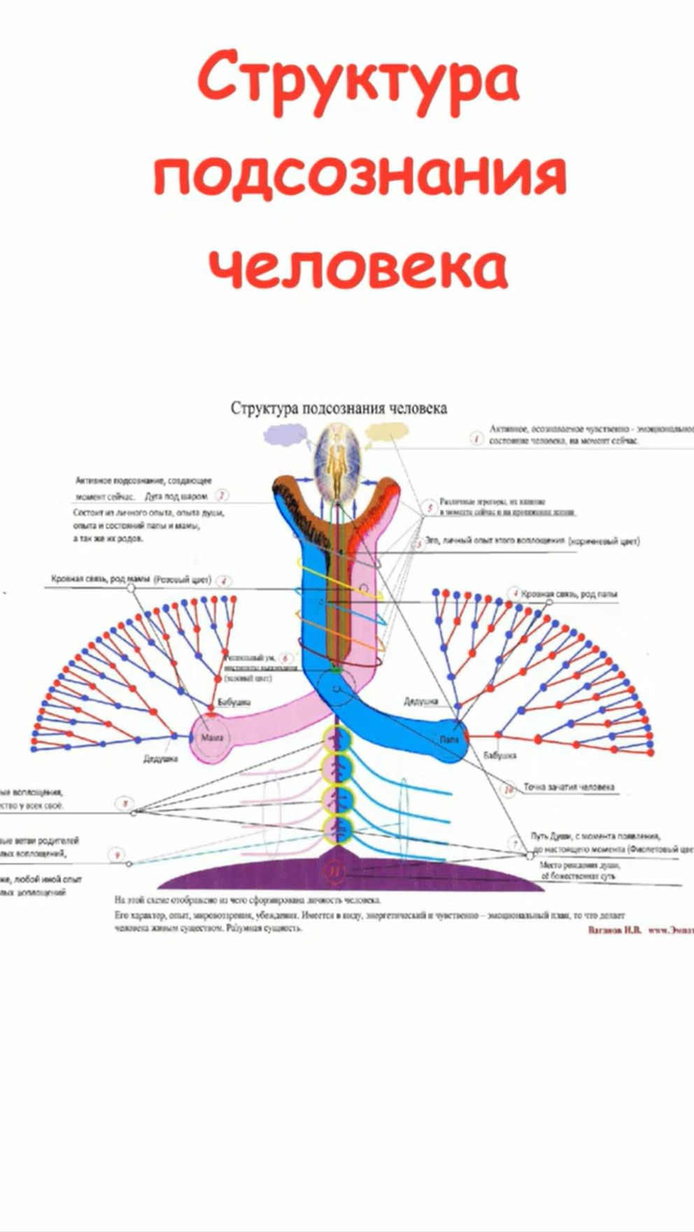 Биоэнергетика