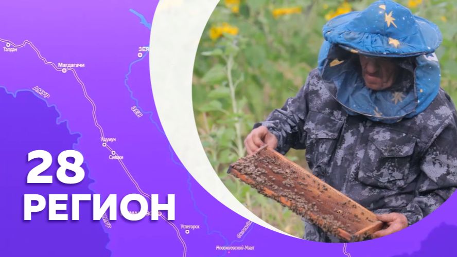Регион 28
