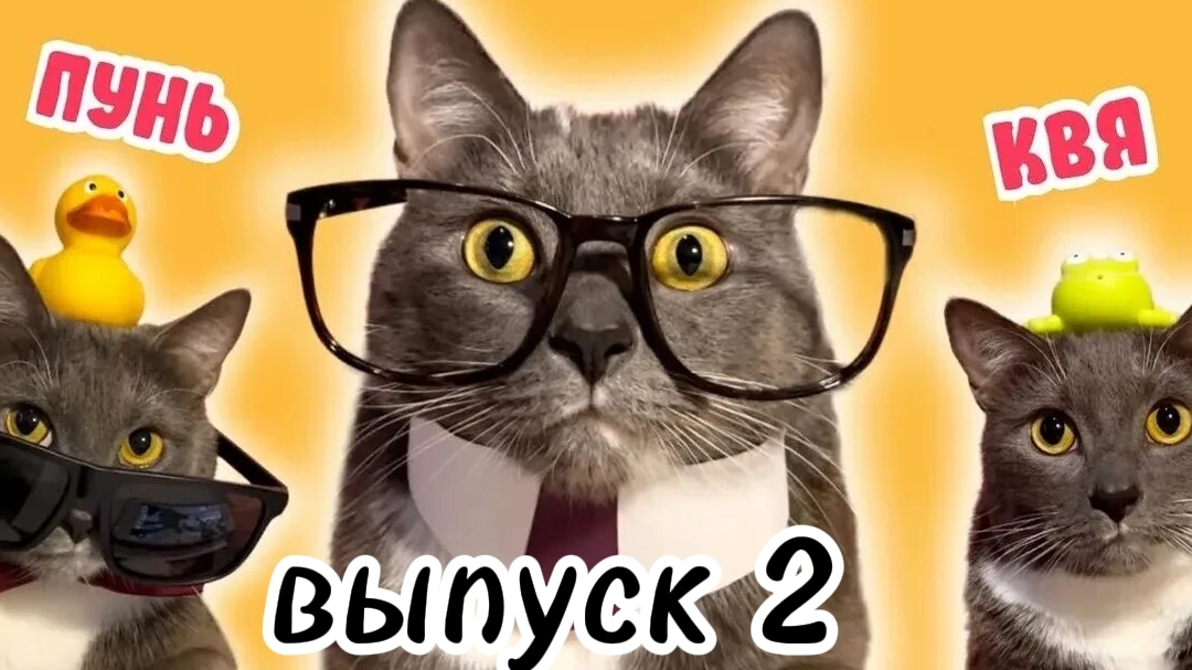 Если бы котики ходили в школу