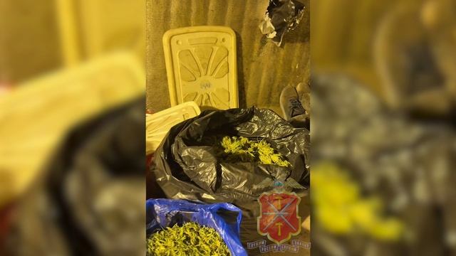 Оперативное видео