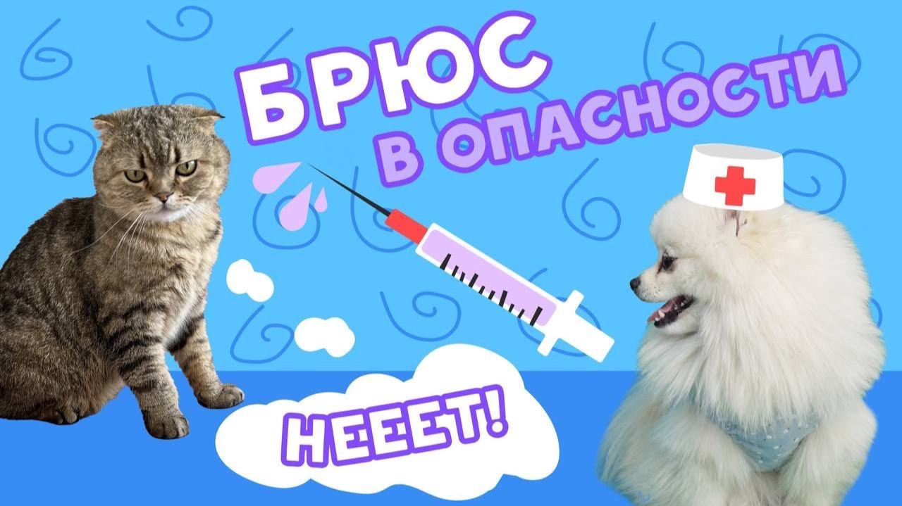 КАССИ И БРЮС