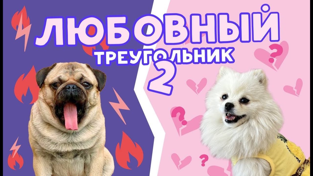 КАССИ И БРЮС