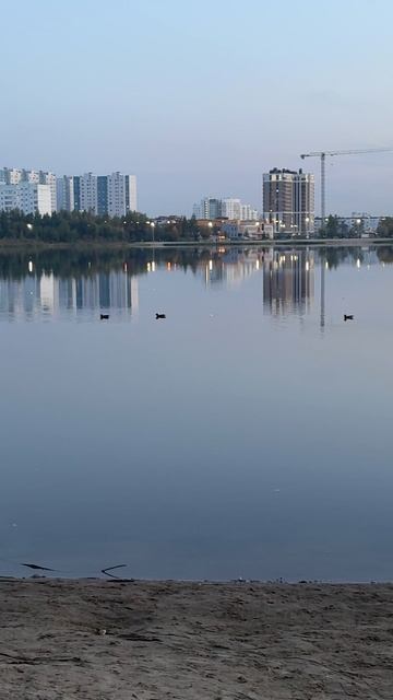 🚶 Прогулки по природе