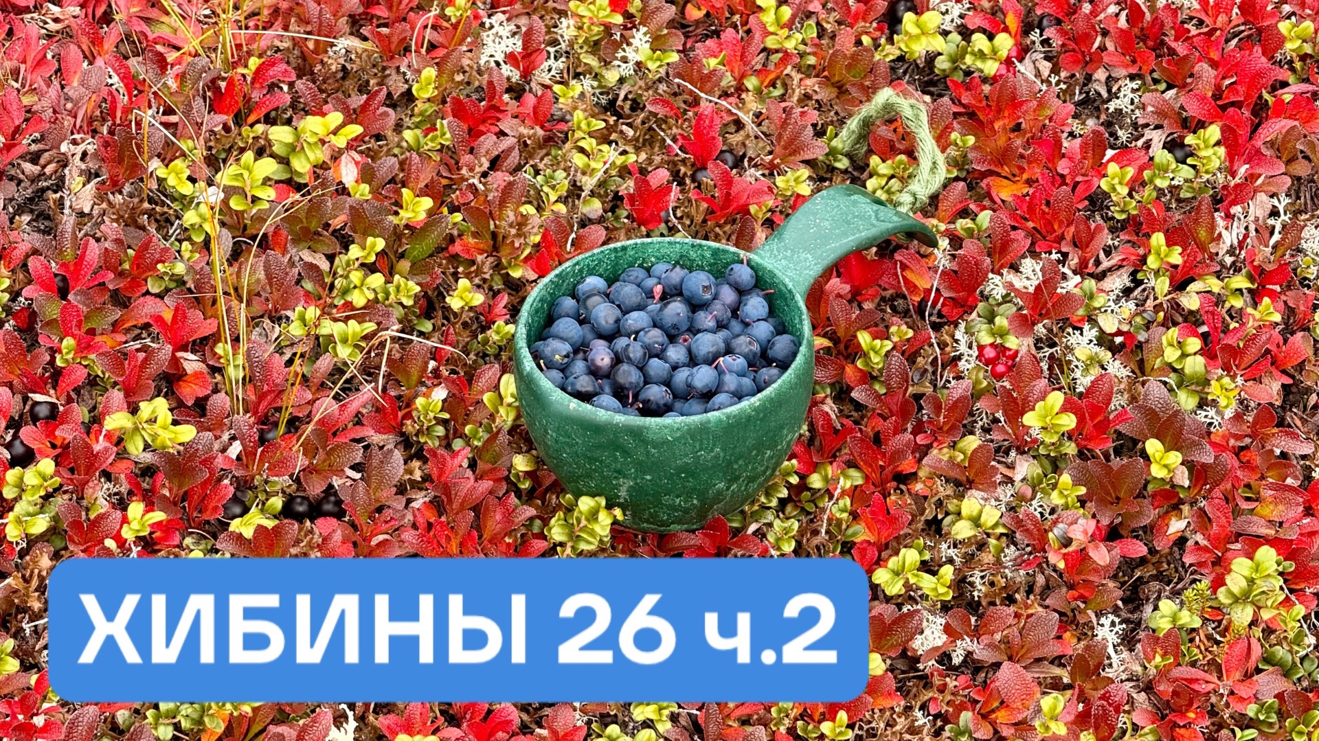 Всё видео.