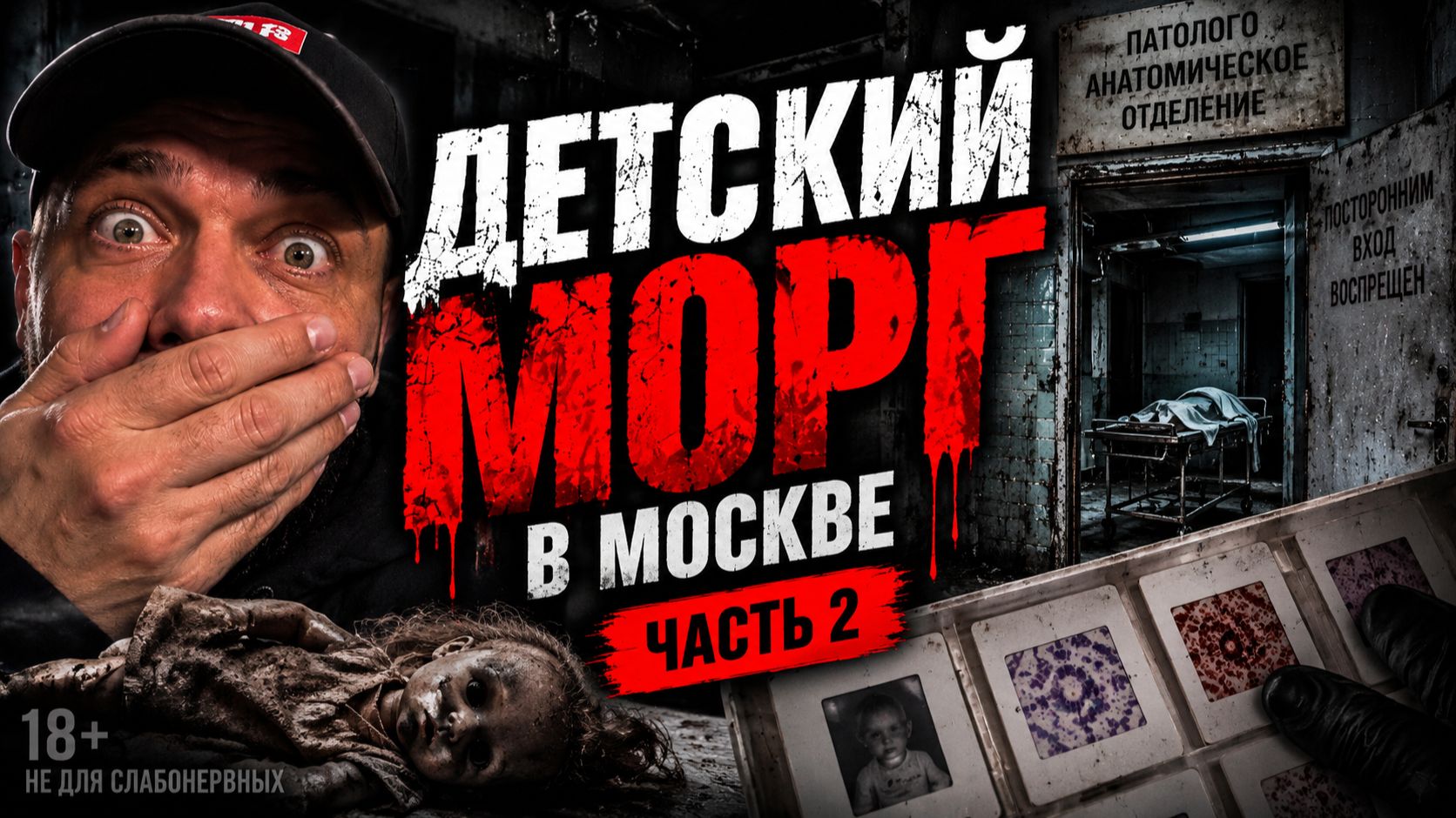 Все видео
