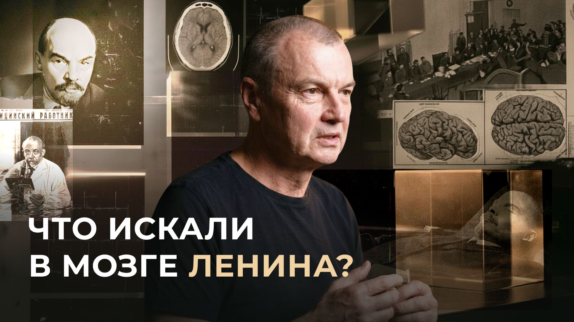 Всё о мозге