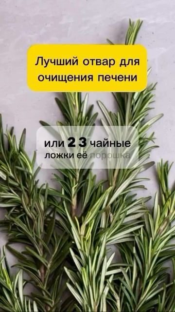 Здоровье, препараты
