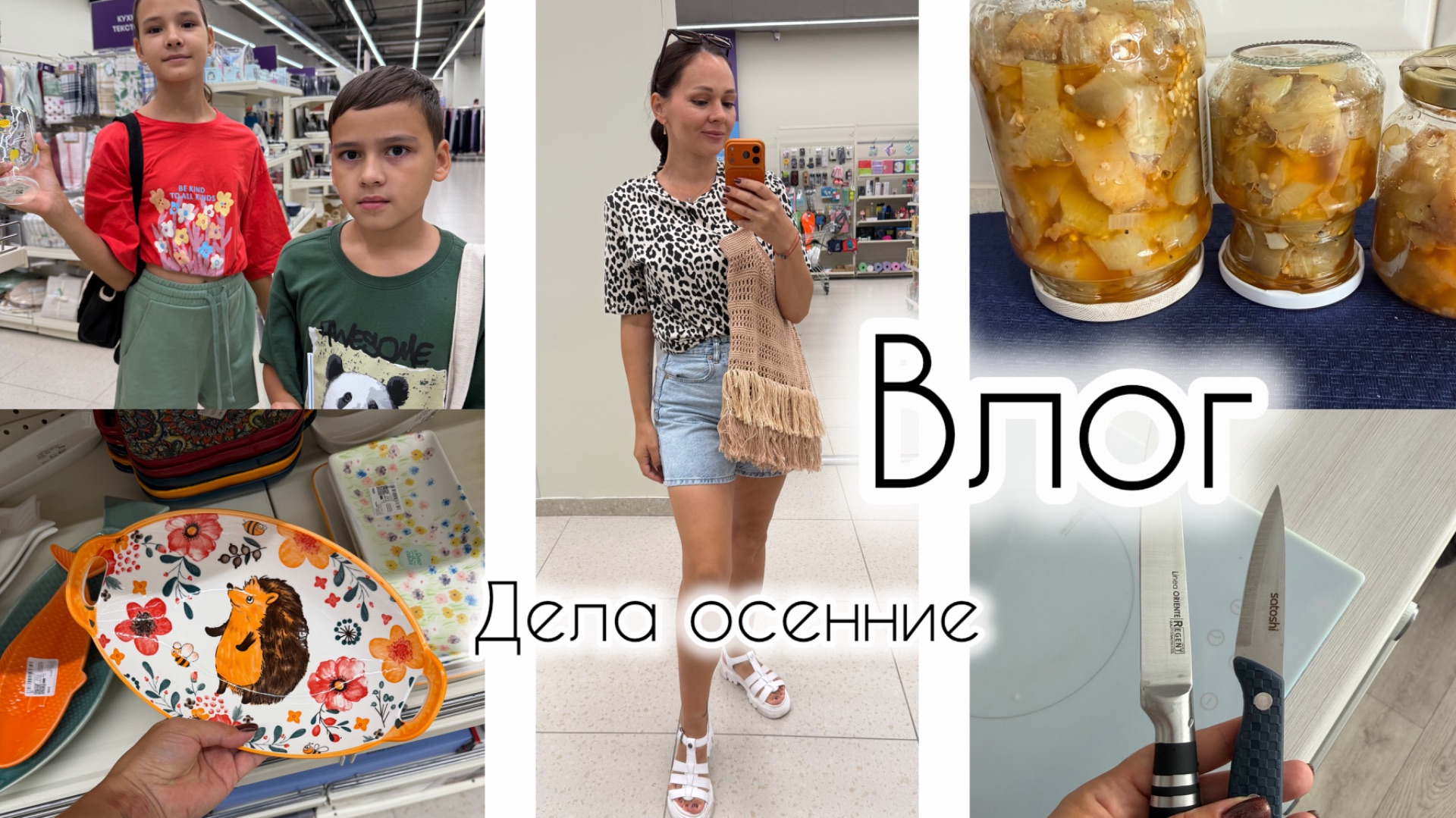 Влоги