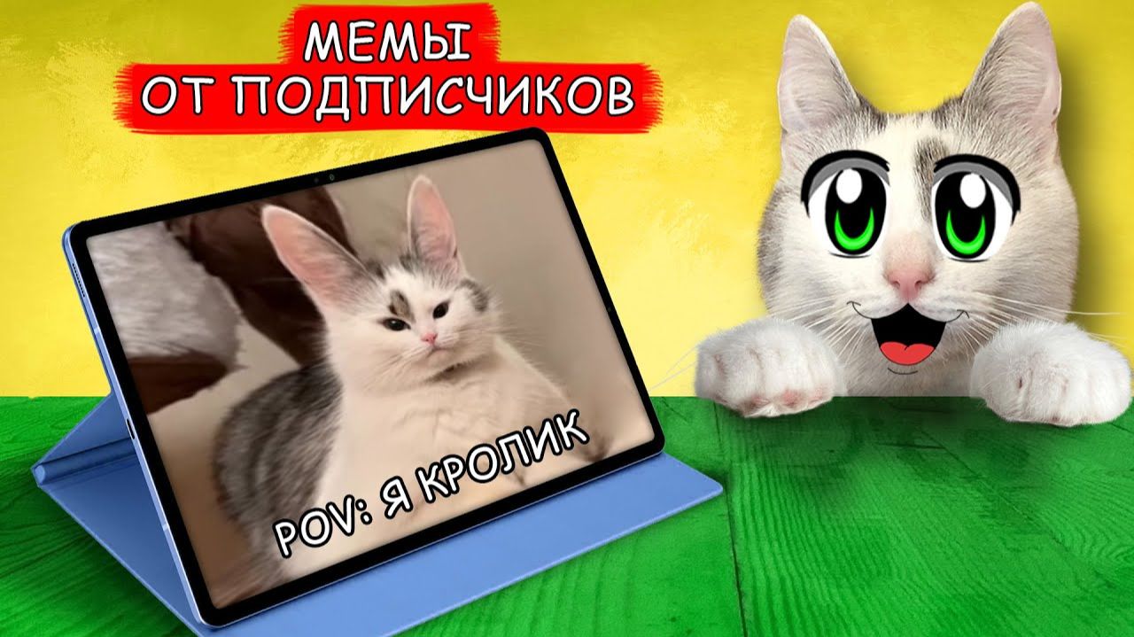 МЕМЫ и ВЕСЕЛЫЕ ИСТОРИИ