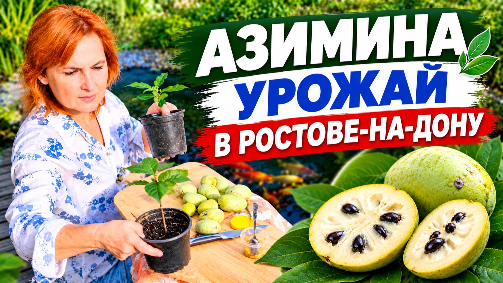 Наши тропики