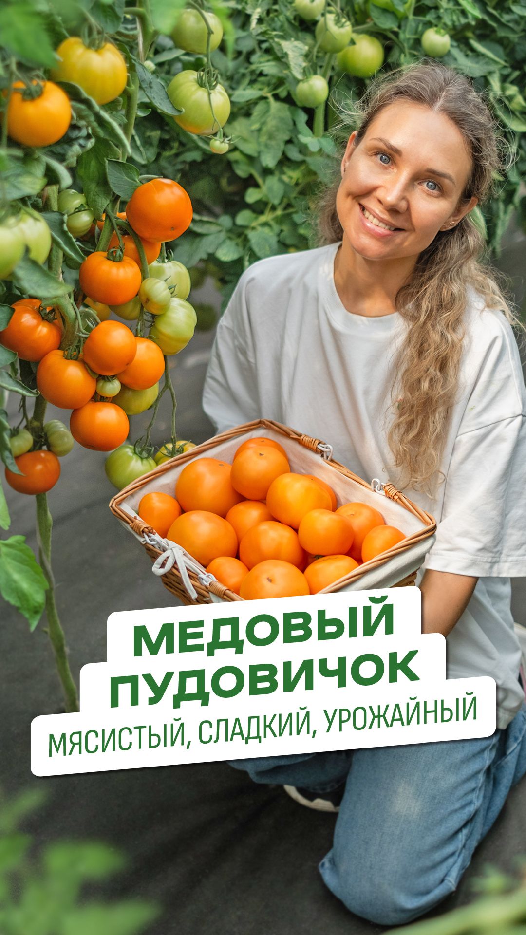 Томаты от  Агрофирмы ″Сибирский Сад″