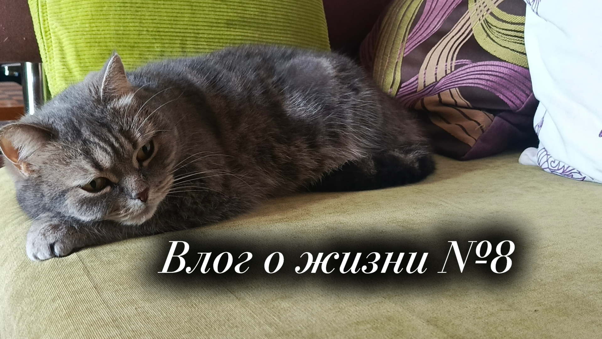 Жизнь творческого экономиста