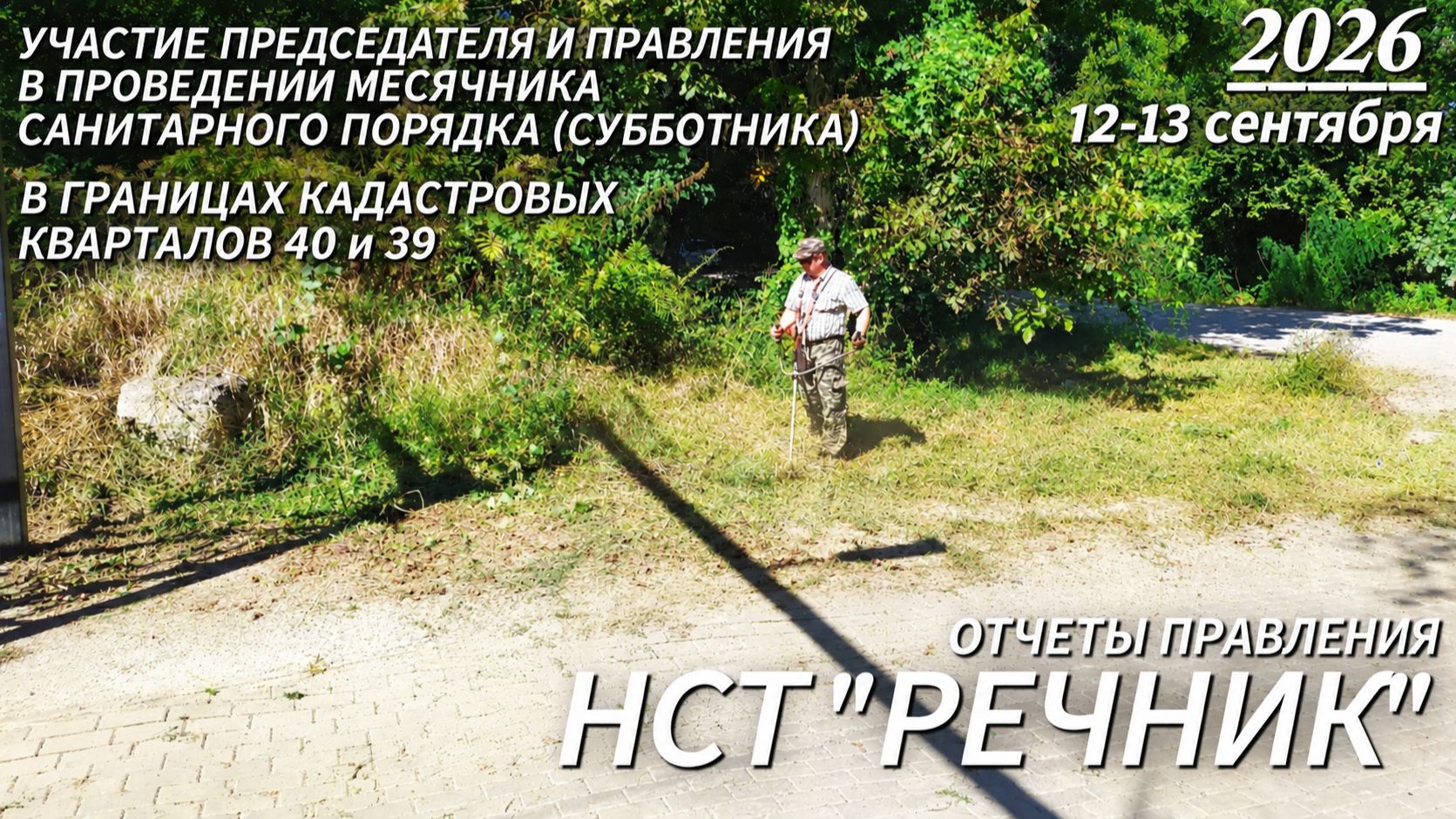 Отчеты Правления