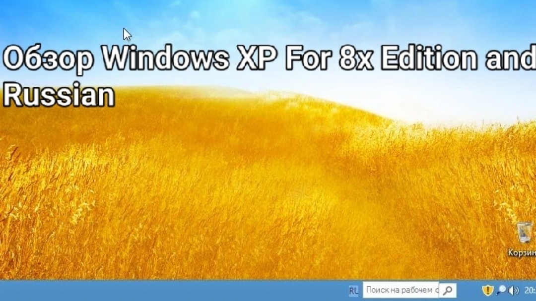 Windows 8