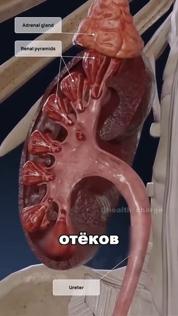Самолечение