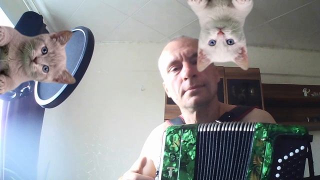 Моя Музыка