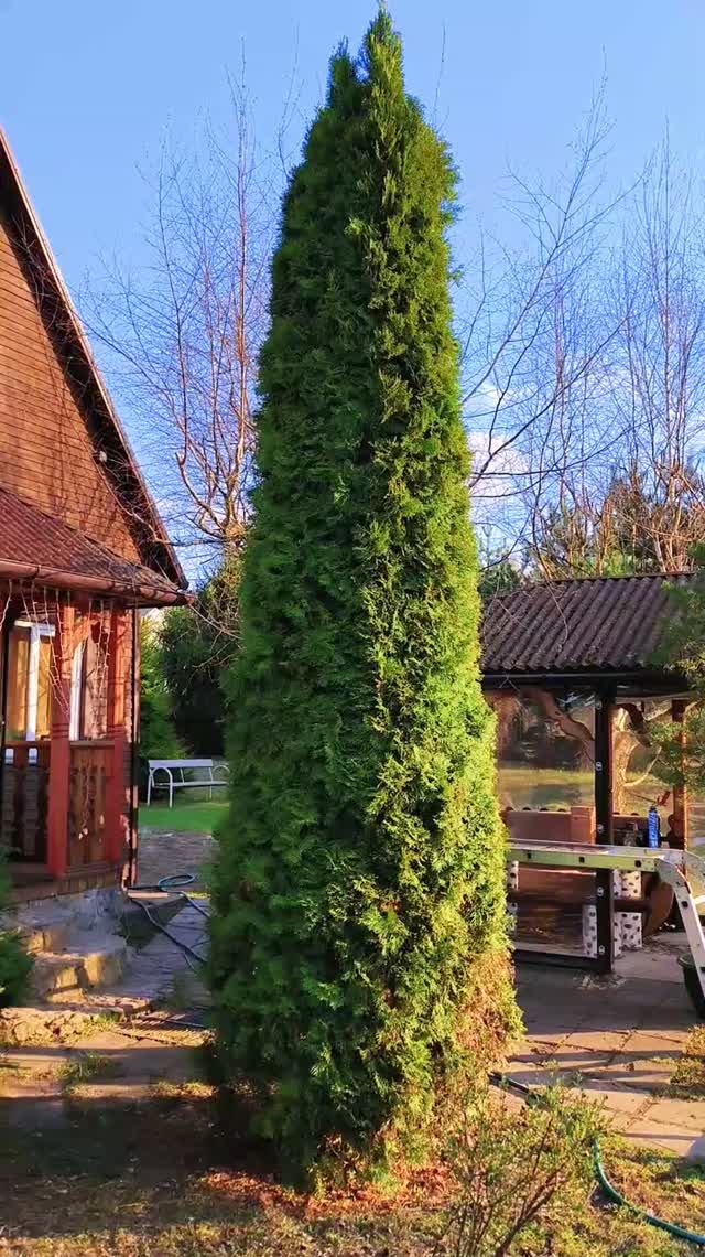 Внимание, может пригодиться! Лайфхаки и полезные советы
