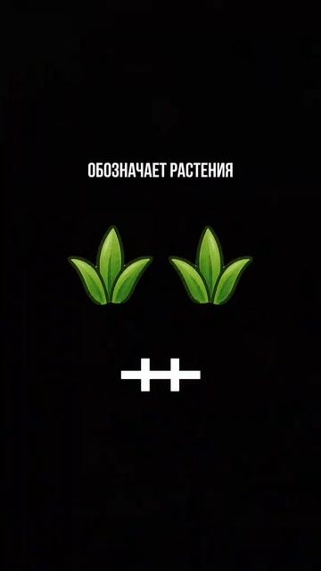 Мышление