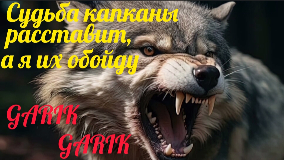 МУЗЫКА,ПЕСНИ