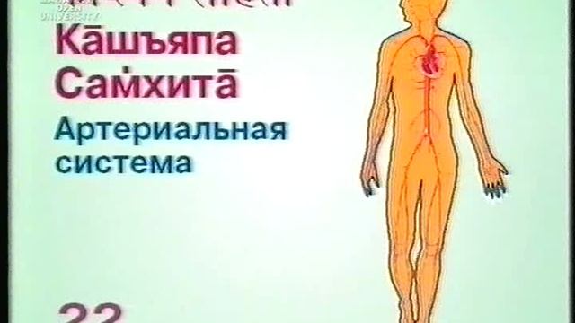 ПРОДВИНУТЫЕ ПРАКТИКИ ТРАНСЦЕНДЕНТАЛЬНОЙ  МЕДИТАЦИИ МАХАРИШИ