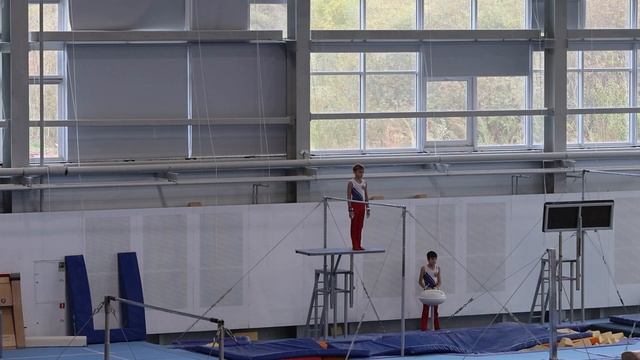 Спортивная гимнастика