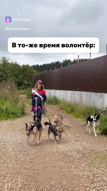 МП г.Перми