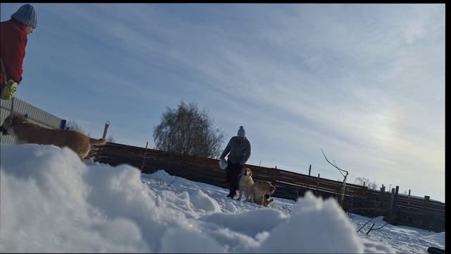Маша Раша Алабаша